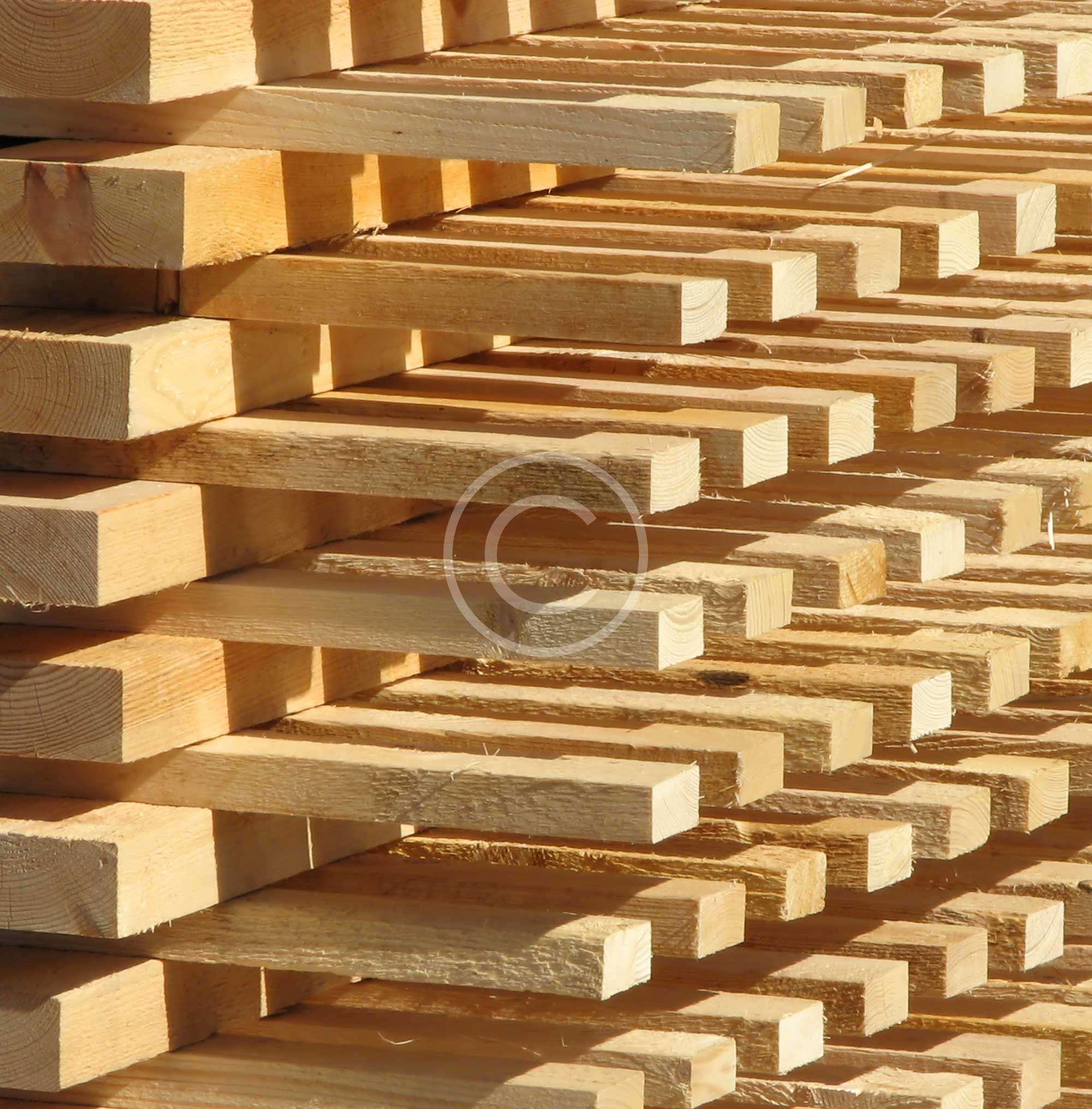 Sporting Goods – My Hardwood Floors Website